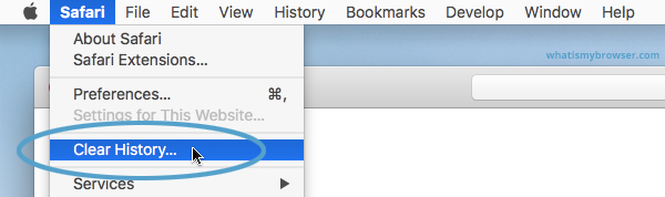 Article Clearing The Cache In Safar 